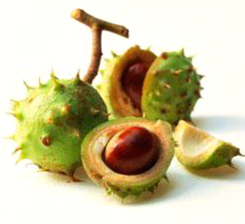 AIR’ FEELING – Inderma